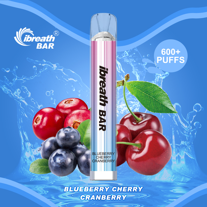 TPD Flavors 600Puffs Ibreath BAR Mesh Coil Crystal Vape Elf Bar Lost ...